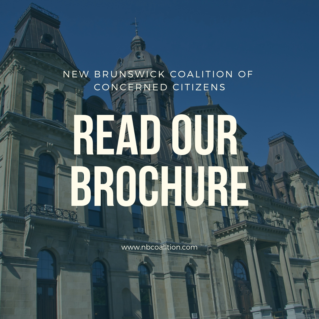 About the Coalition - Community of Creative Citizens